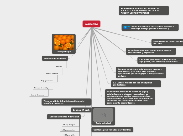 NARANJA - Mind Map